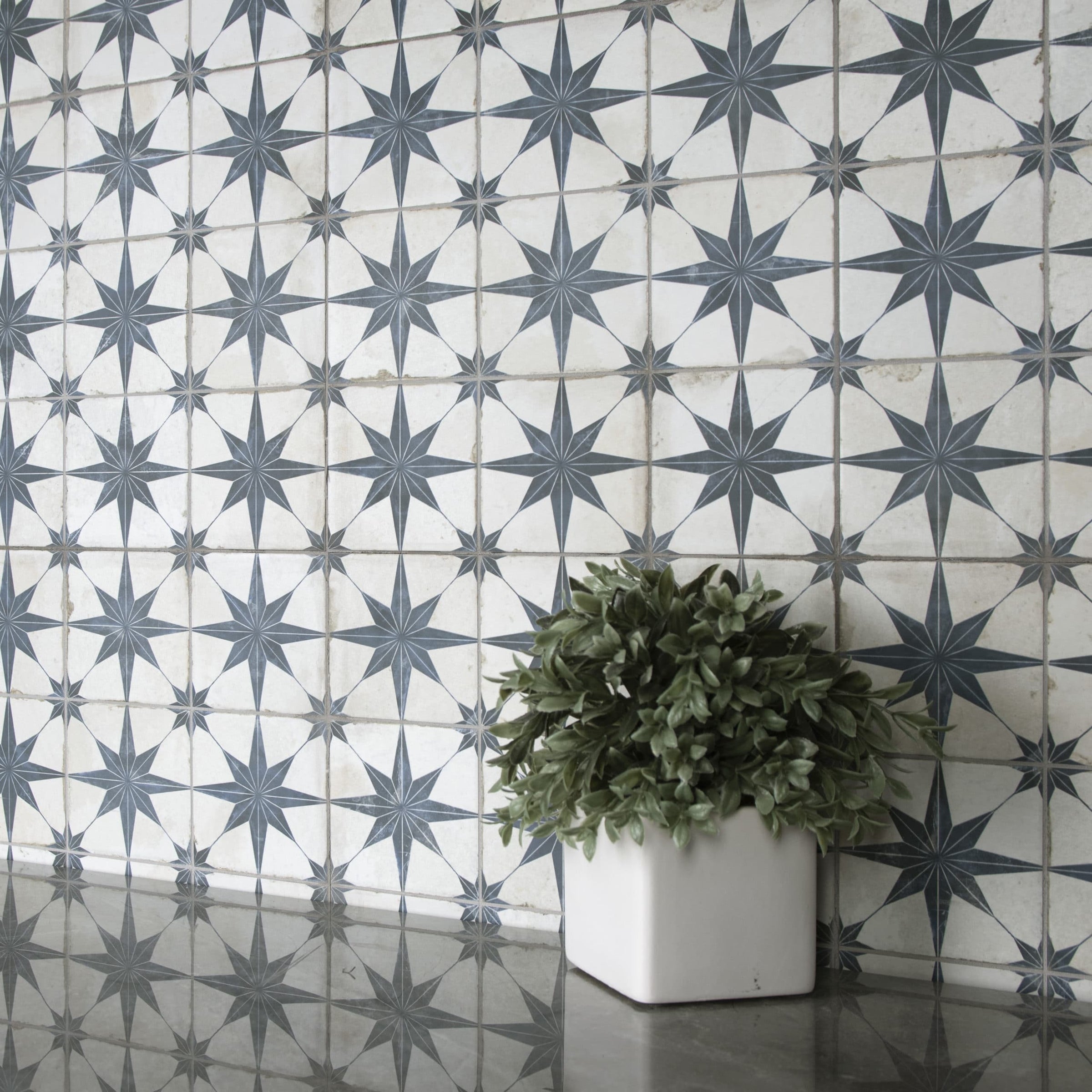 Harmonia Kings Star 13x13 Patterned Tile