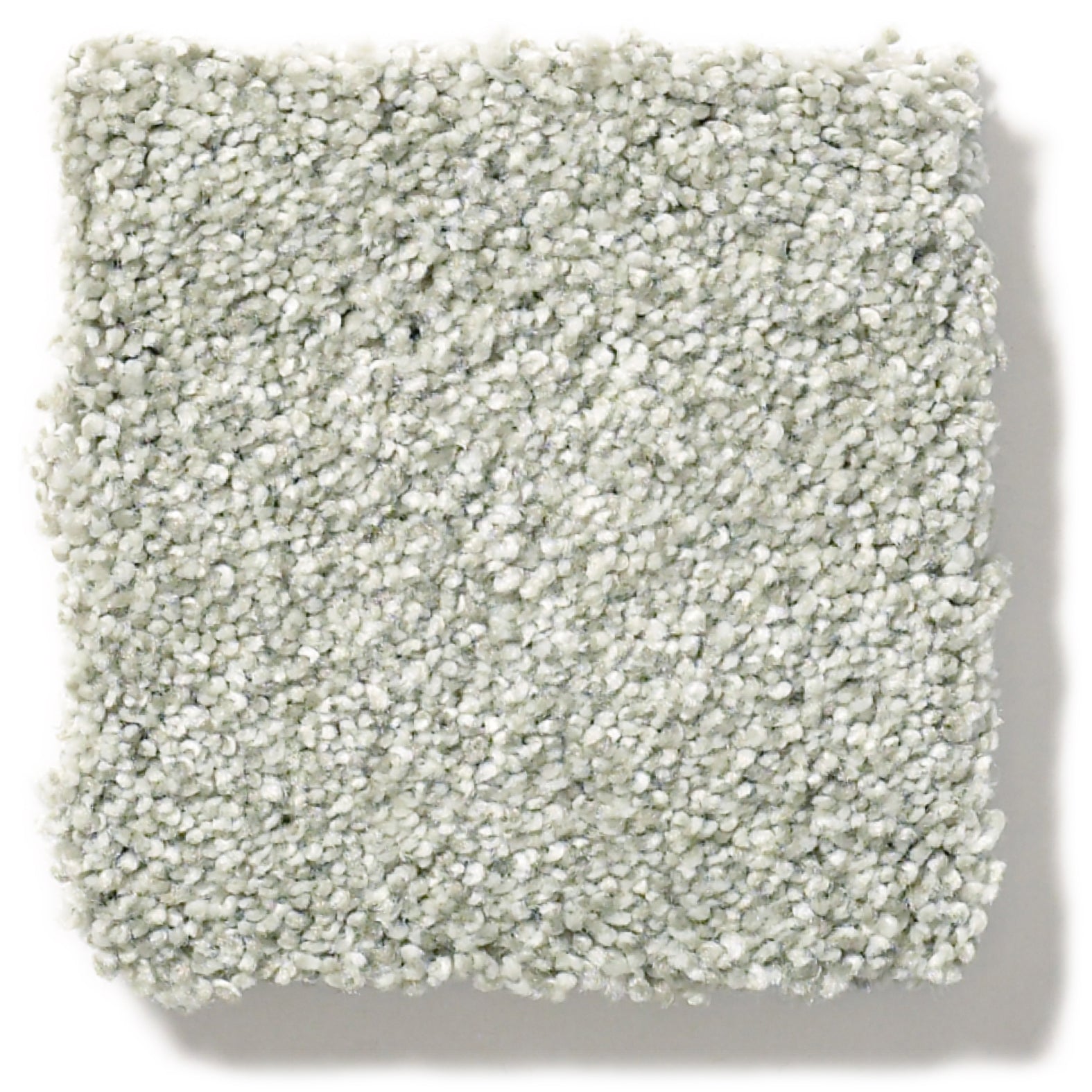 Tonal Comfort Blue Family Friendly Carpet