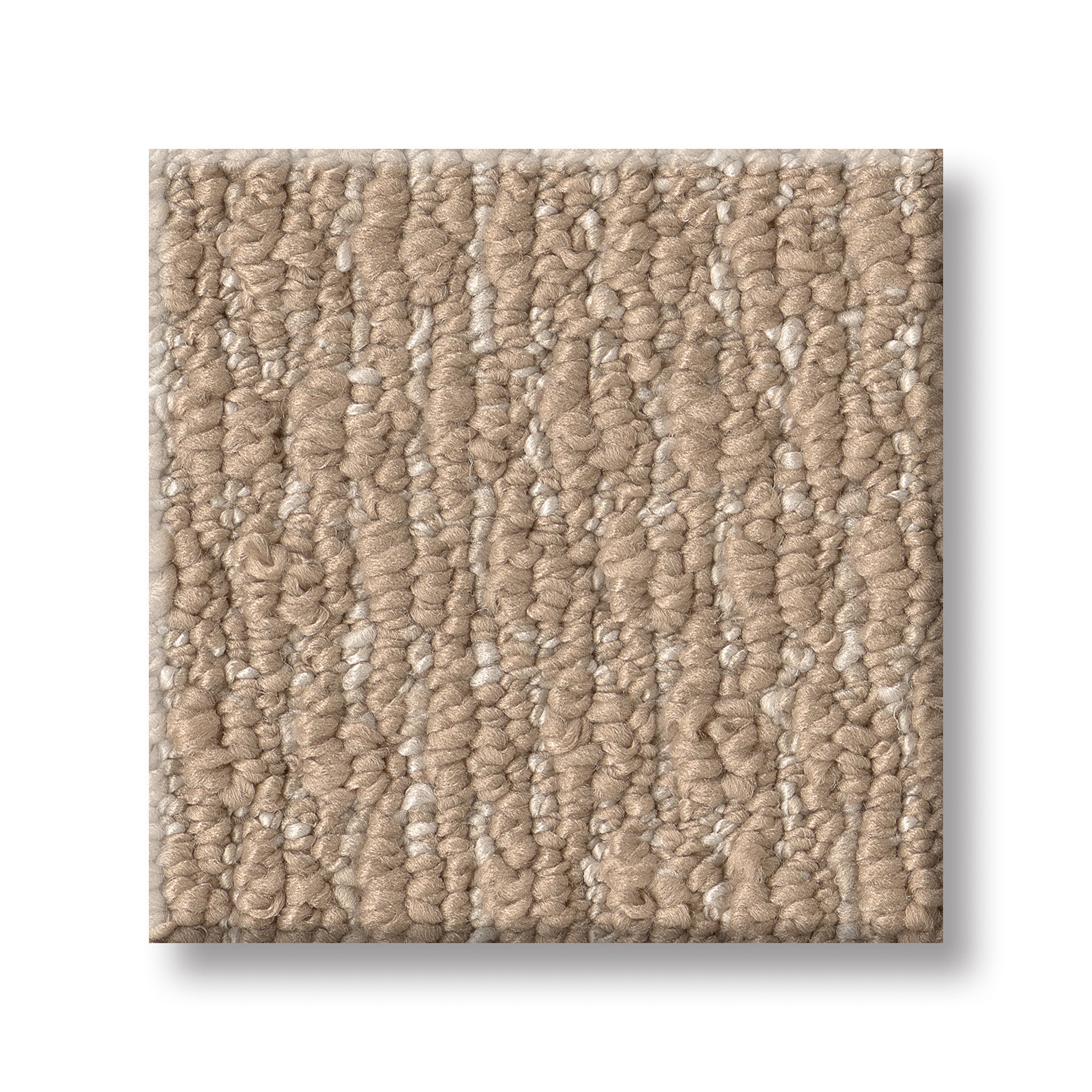 Cozy Embrace Pet Friendly Carpet