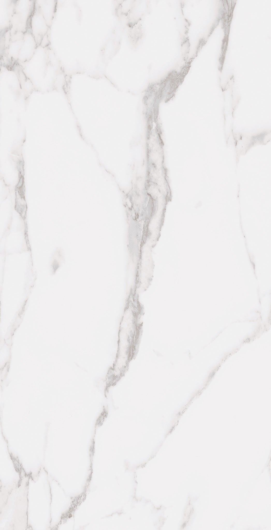 Bright Statuary 12x24 Rectified Porcelain Tile