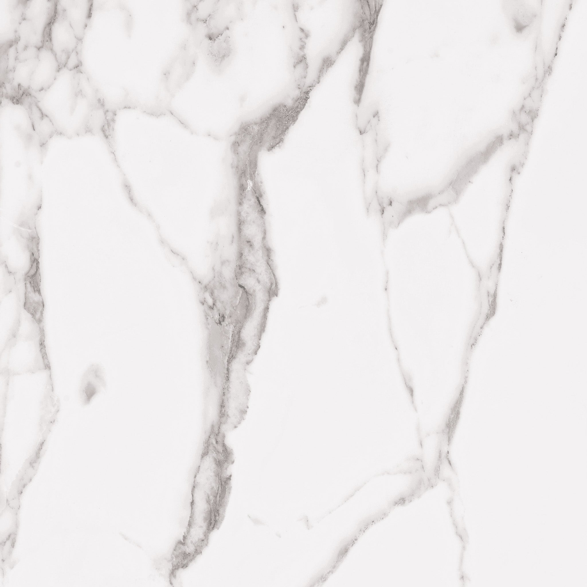 Bright Statuary 24x24 Rectified Porcelain Tile