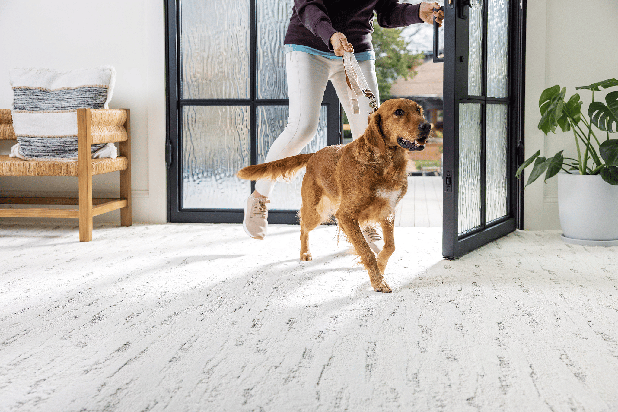 Tranquil Spirit Pet Friendly Carpet